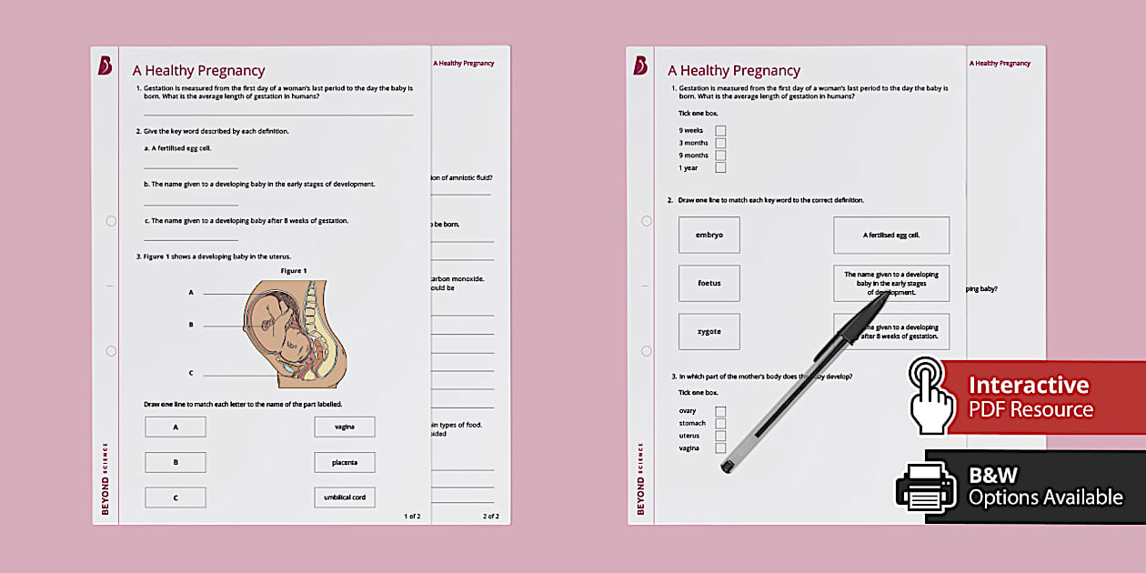 A Healthy Pregnancy Worksheet | Human Reproduction - Twinkl