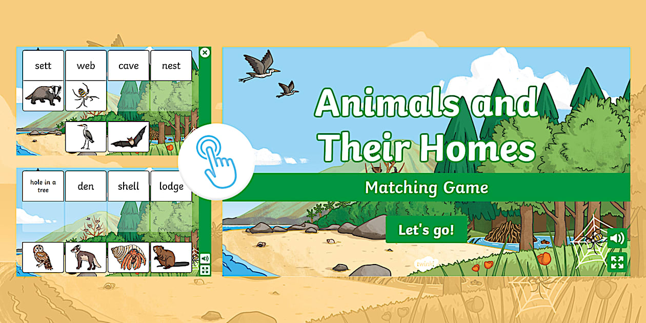 Animals and Their Homes Matching Game
