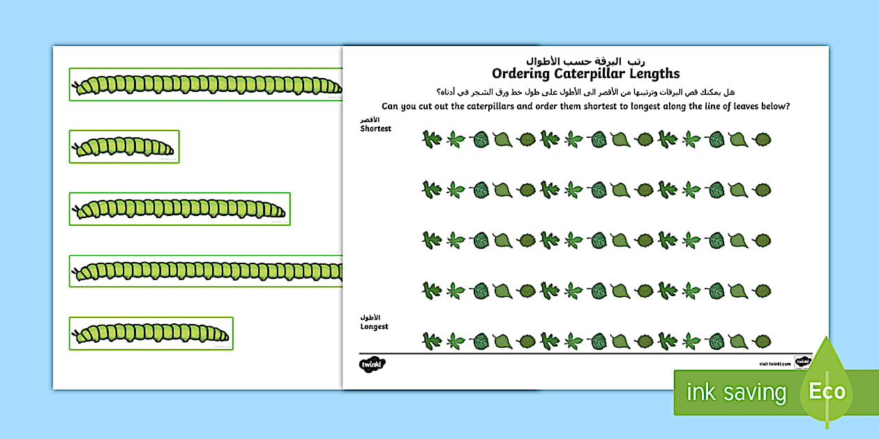 Ordering Caterpillar Lengths Worksheet / Worksheet Arabic/English ...