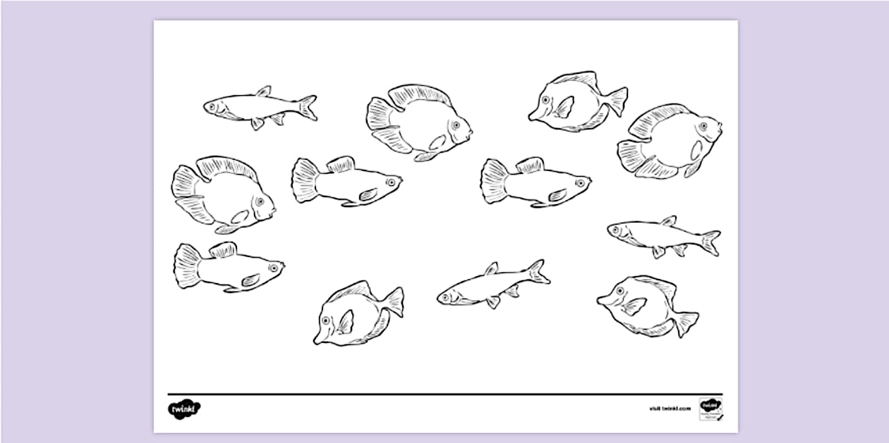 Colourful Fish Colouring Sheet | Colouring Pages | KS1