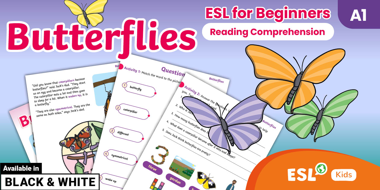 ESL Beginners: Butterflies Reading Comprehension