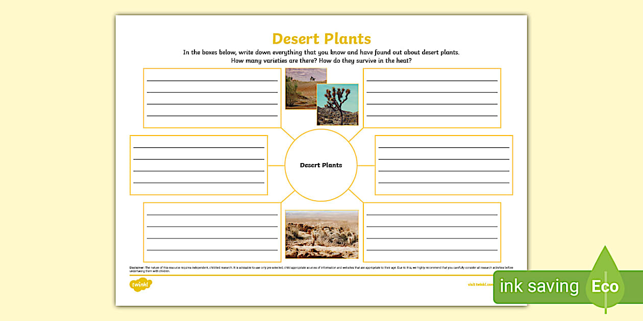 Desert Plants Mind Map (teacher made) - Twinkl