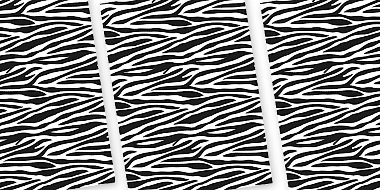 Zebra Themed Pattern A4 Sheets (teacher made) - Twinkl
