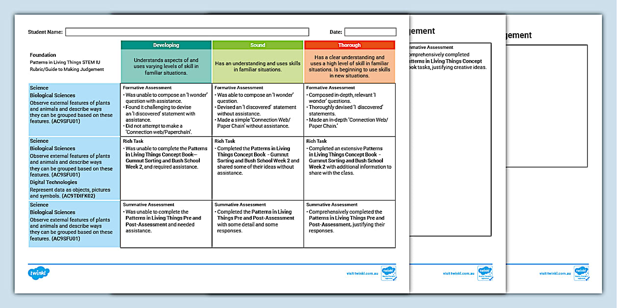 STEM Foundation Patterns in Living Things Assessment Rubric