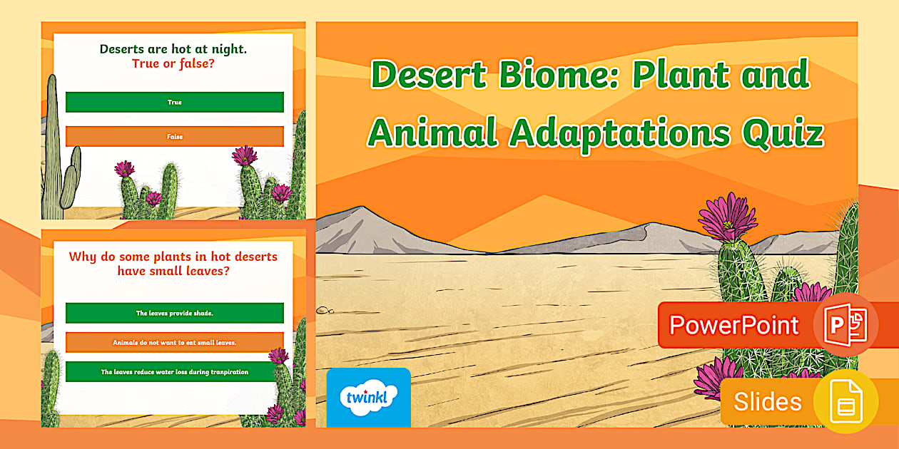 Desert Biome: Plant and Animal Adaptations Quiz - PowerPoint & Google ...