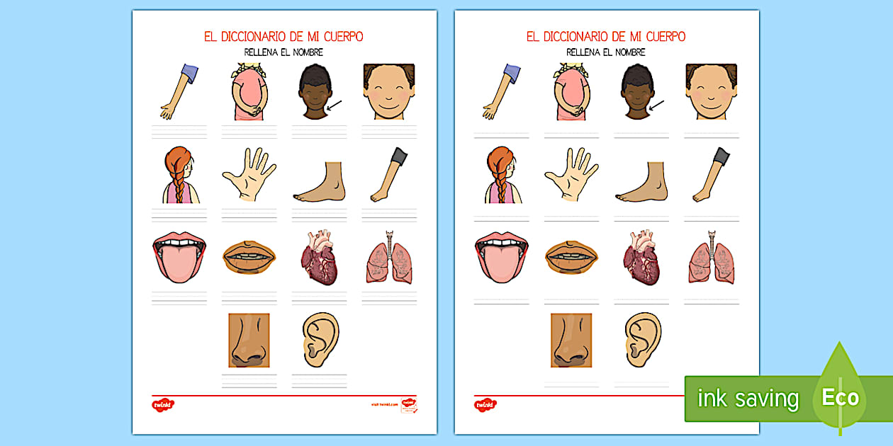 Mi cuerpo - Escritura de vocabulario - Ficha de actividad