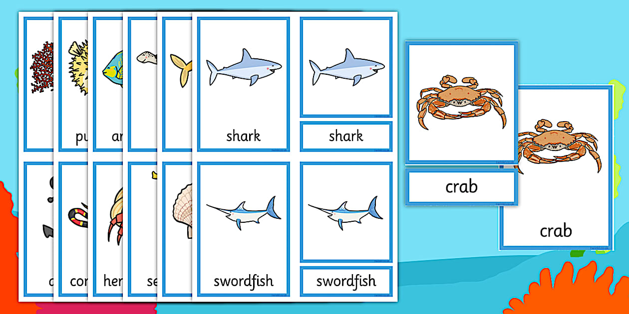 Under the Sea Three Part Cards (teacher made) - Twinkl