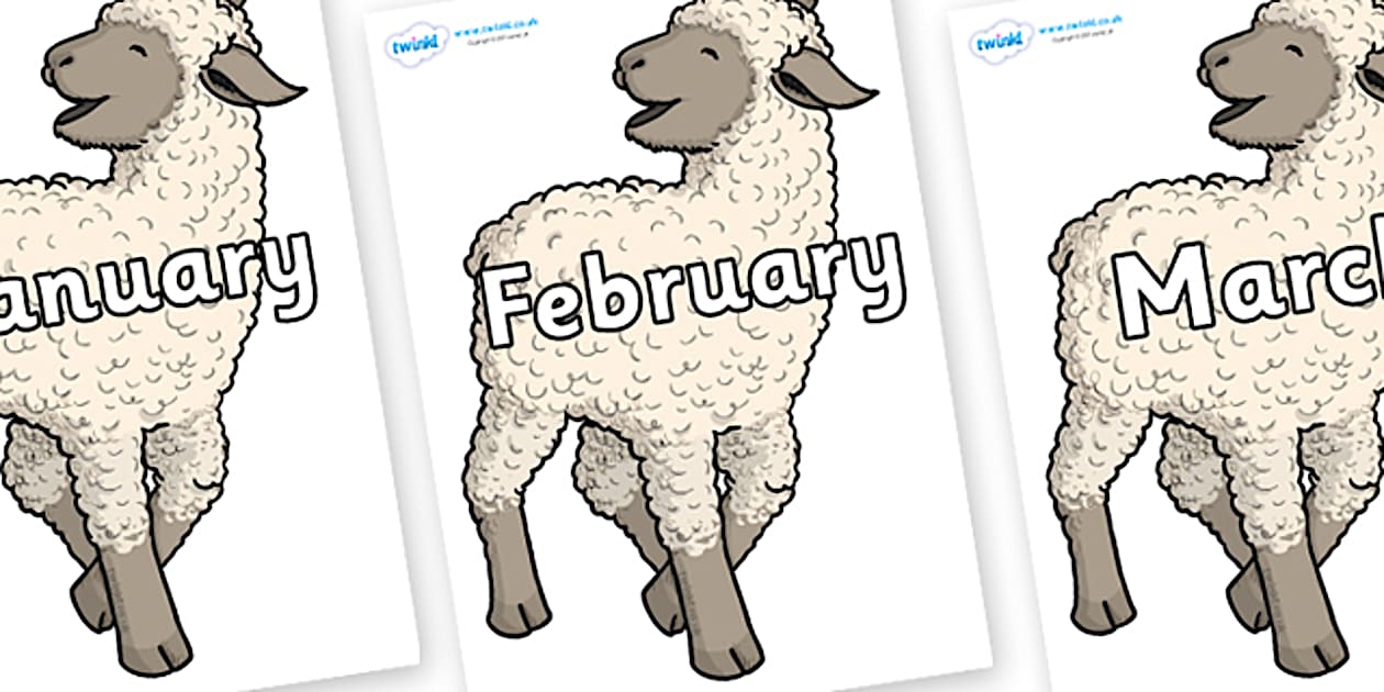 Months of the Year on Lamb (teacher made) - Twinkl