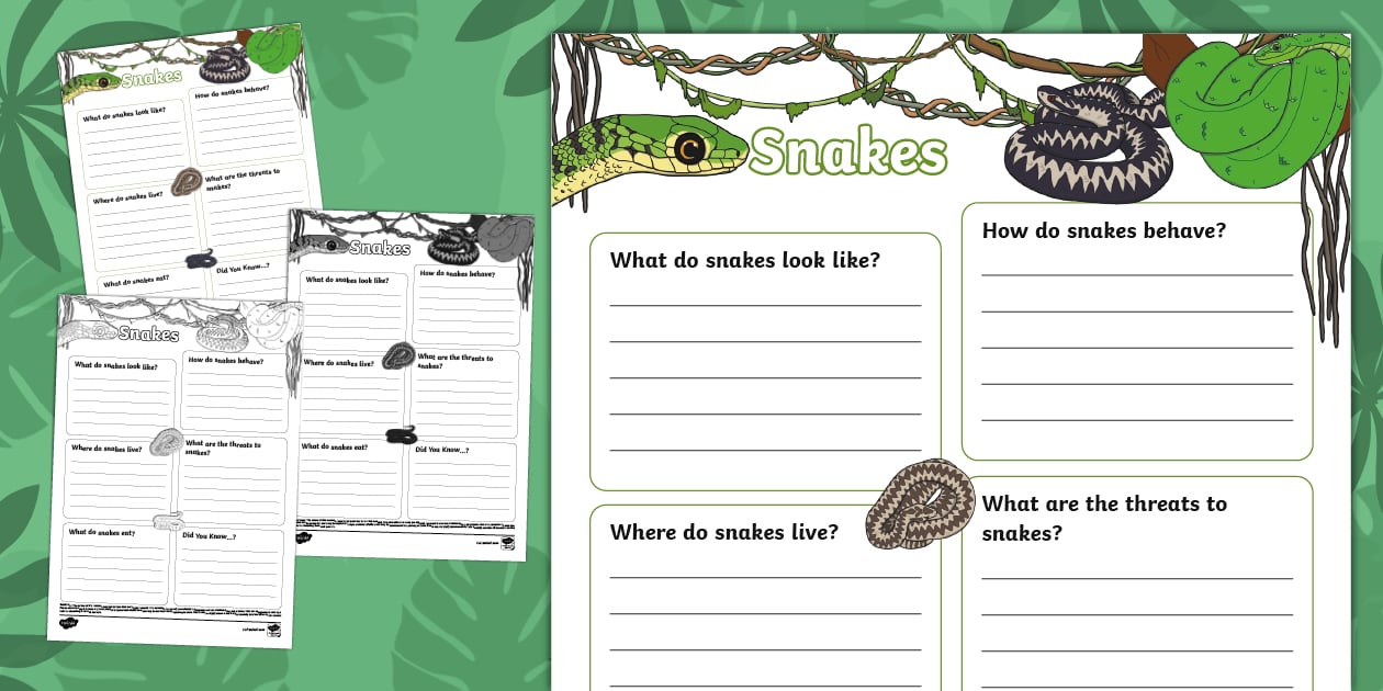 KS1 Snakes Fact File Template - Twinkl Writing - Twinkl