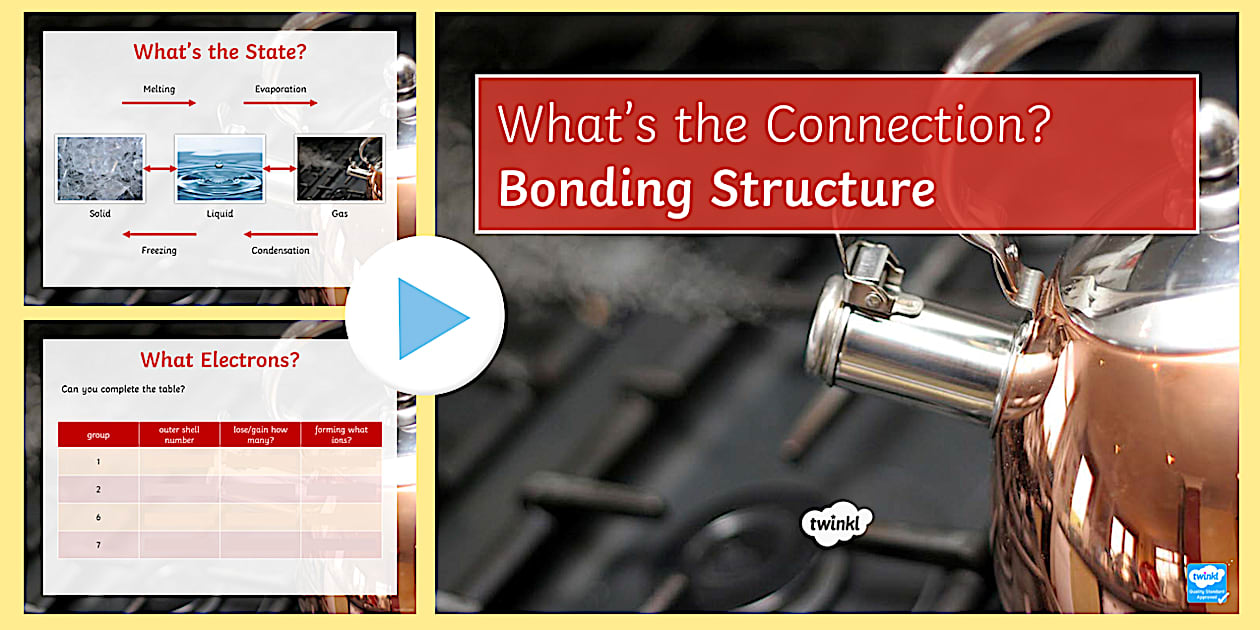 Bonding Structure What's the Connection? PowerPoint