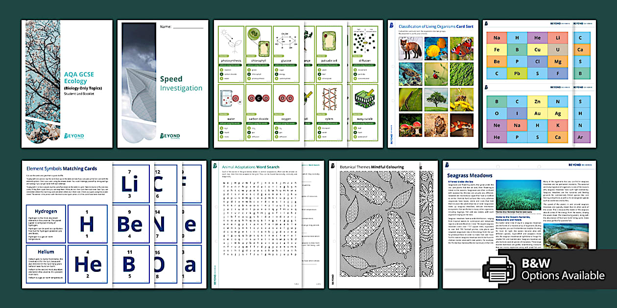 End of Summer Term Activity Pack (Teacher-Made) - Twinkl