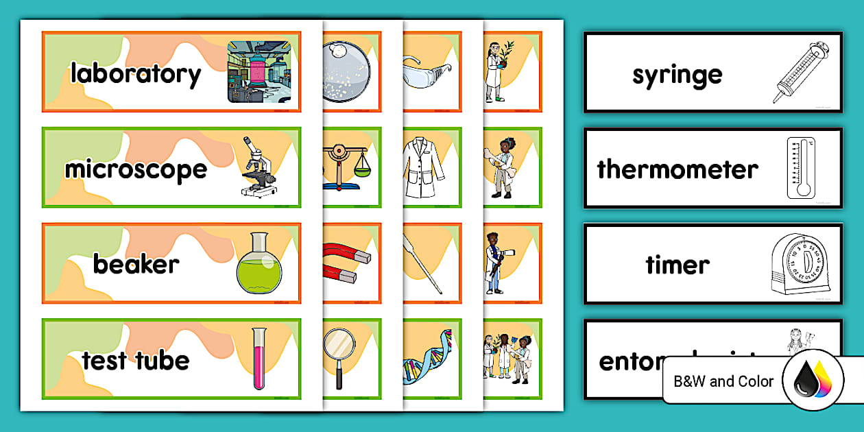 Science Lab Dramatic Play Word Cards (teacher made) - Twinkl