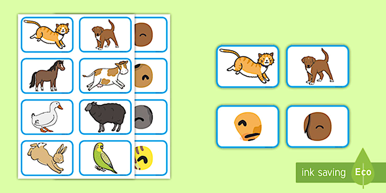 Who Am I? (Eyes) Matching Cards (Teacher-Made) - Twinkl