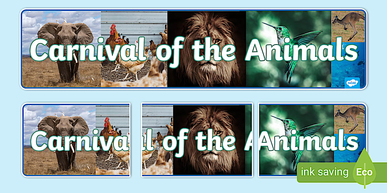 The Carnival of the Animals Photo Display Banner - Twinkl