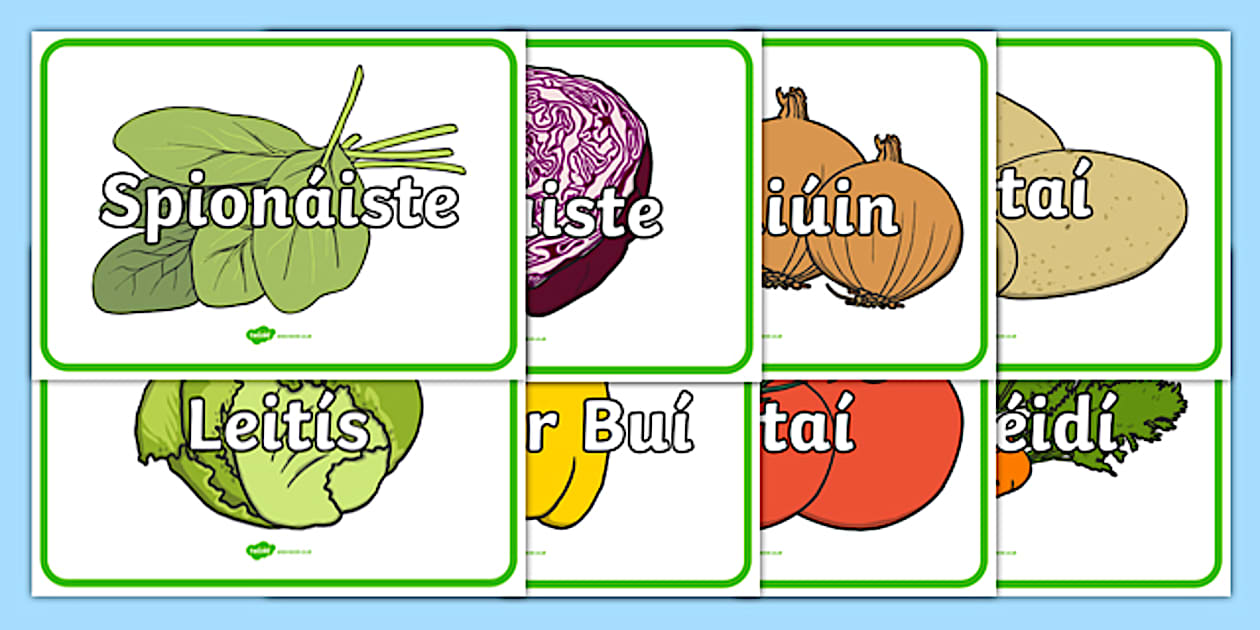 Cursive An t-Ollmhargadh The Supermarket Vegetables Large Display Cut ...