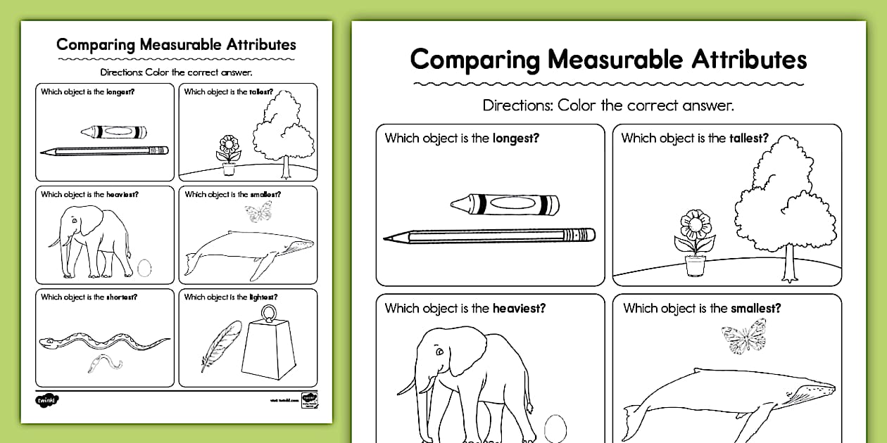Kindergarten Comparing Measurable Attributes Activity Kindergarten Comparing Measurable Attributes Activity