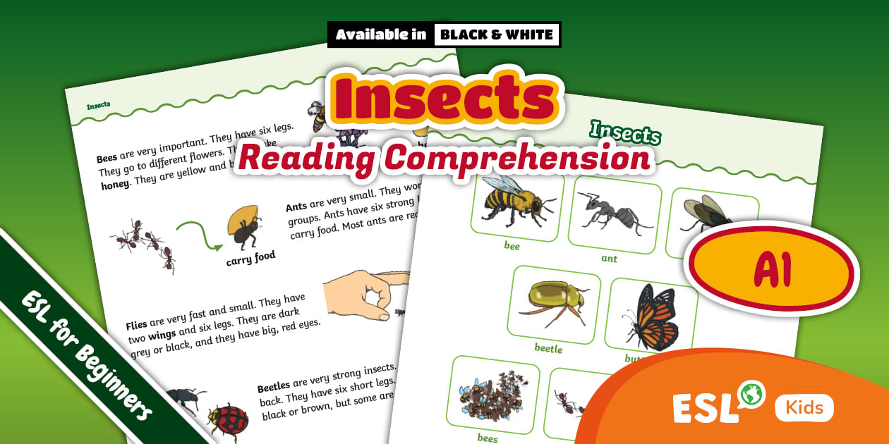 Insects Reading Comprehension for Kids