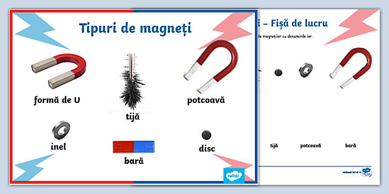 Tipuri de magneți – Planșă (Lehrer gemacht) - Twinkl