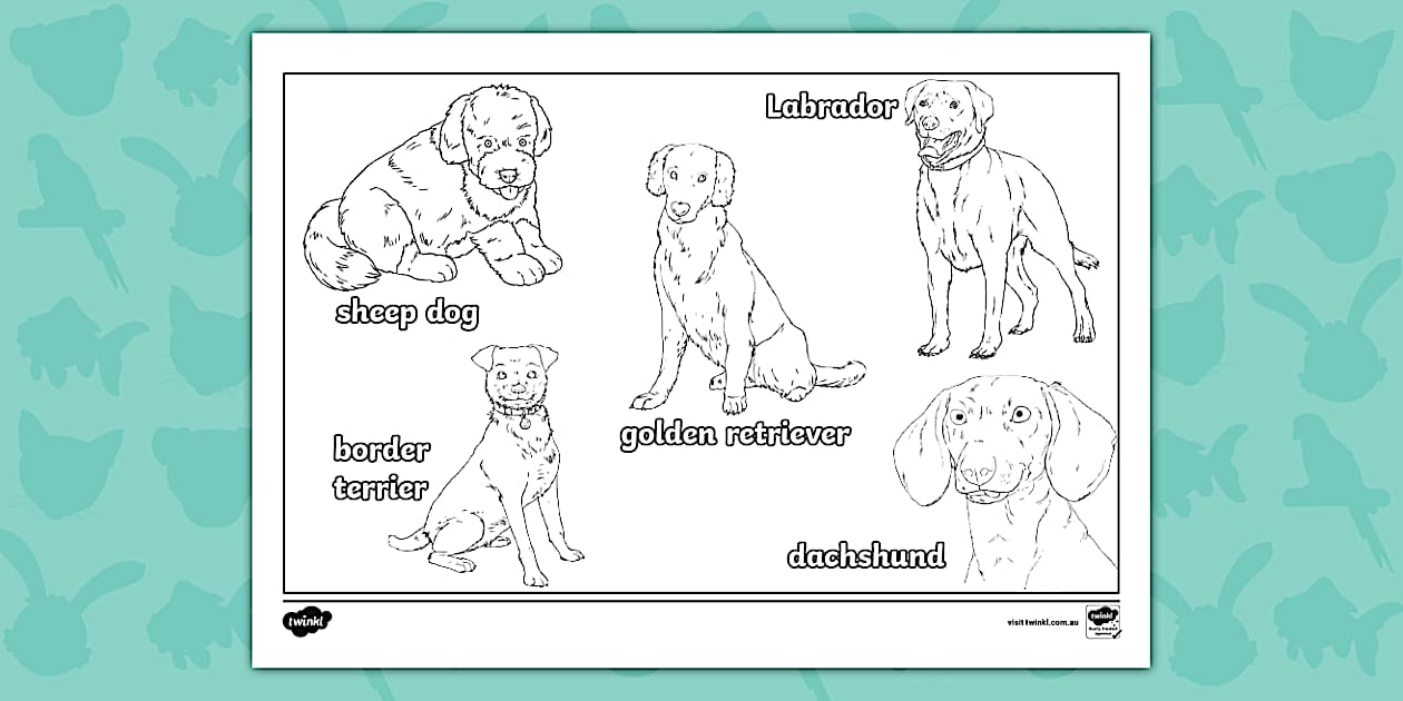 Dogs Colouring Page (teacher made) - Twinkl