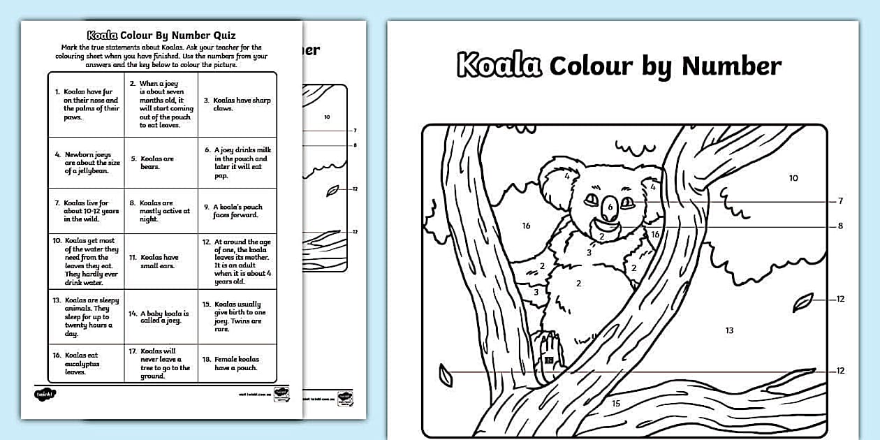 Koala Colour By Number Quiz (teacher made) - Twinkl