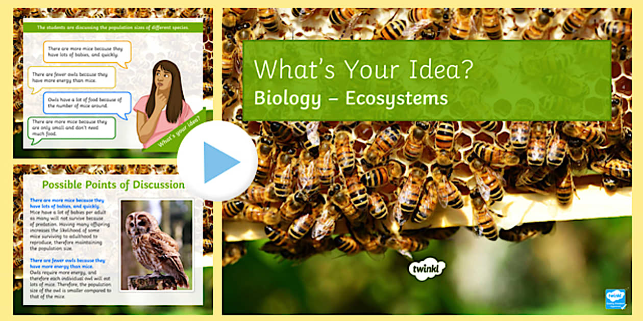 KS3 Ecosystems What's Your Idea? PowerPoint (teacher made)