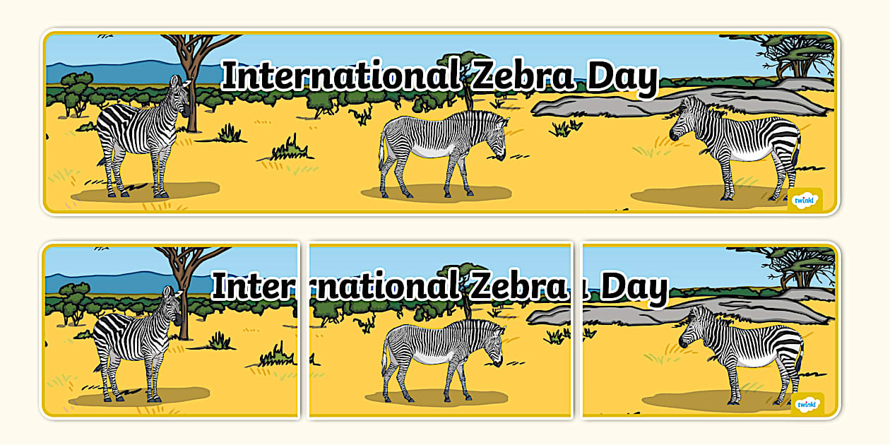 International Zebra Day Banner (teacher made) - Twinkl