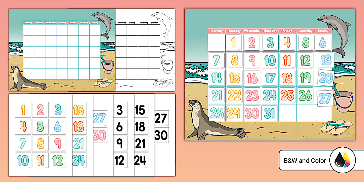 Beach Theme Calendar Display (teacher made) - Twinkl