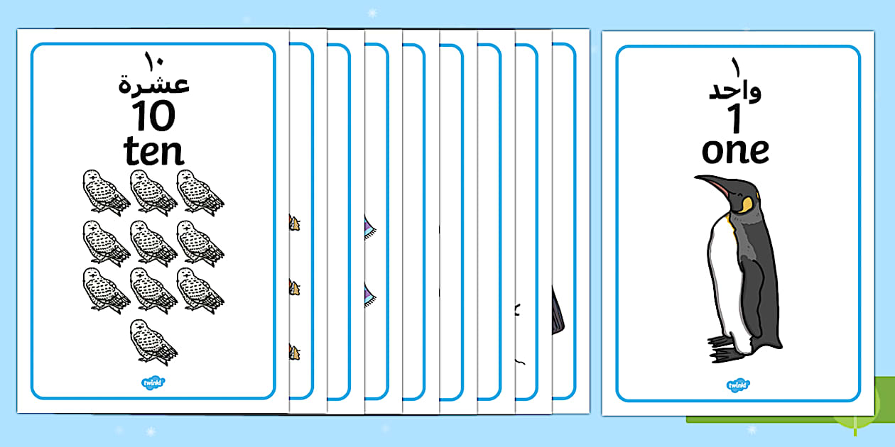 Winter Themed Number Posters With Words and Numbers (1-10) Arabic/English