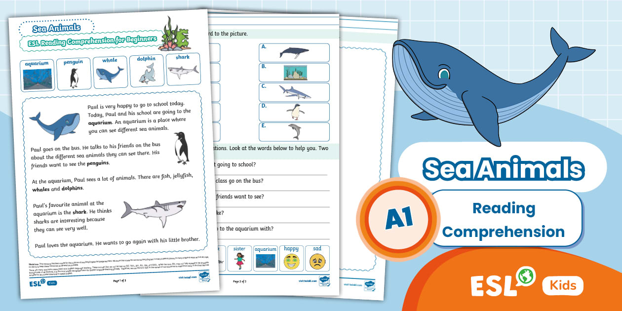 ESL for Beginners - Sea Animals {Kids}