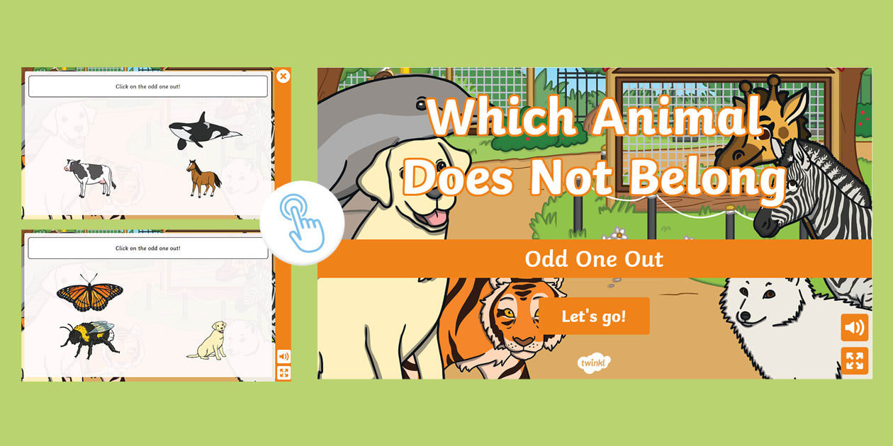 Animal-Themed What Does Not Belong Game | Twinkl USA