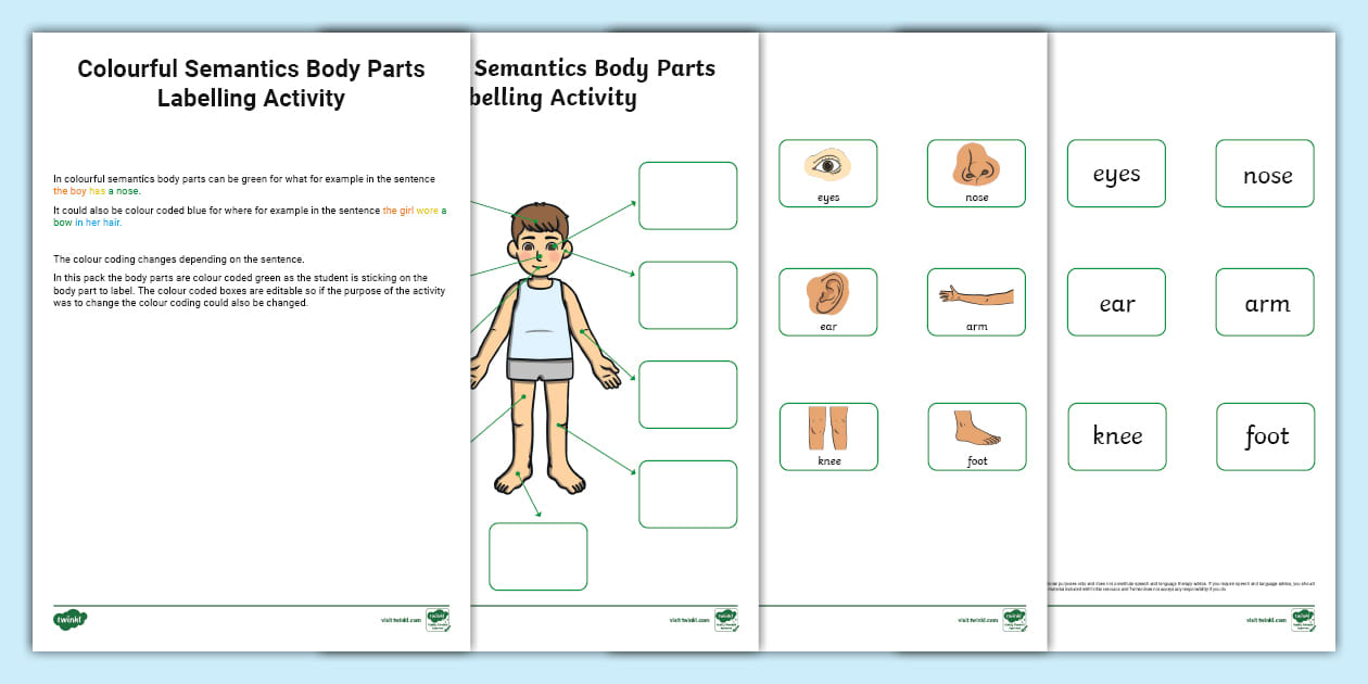 Colourful Semantics Body Parts Labelling Activity