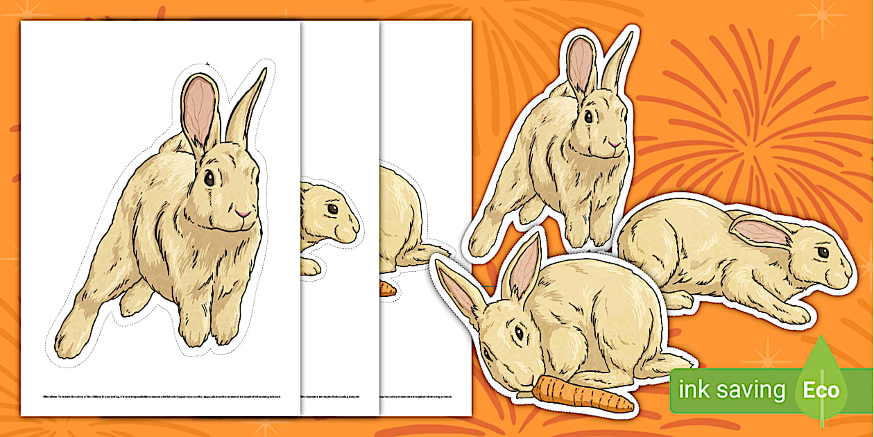 Rabbit Display Cut Outs (Teacher-Made) - Twinkl