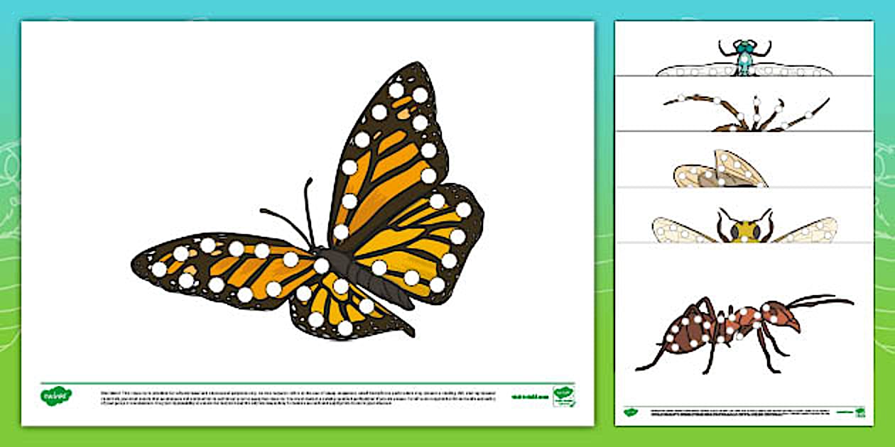 Minibeast Threading Cards - Twinkl - KS1 (teacher made)
