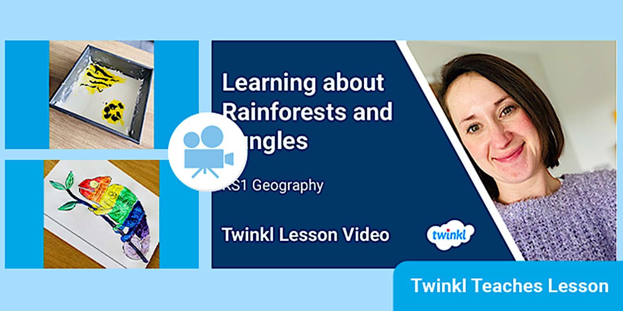 KS1 Geography: Rainforests and Jungles Video Lesson - Twinkl