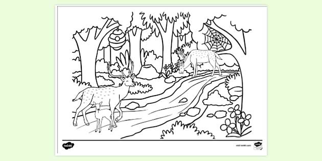 Deer Colouring | Colouring Sheets (teacher made) - Twinkl
