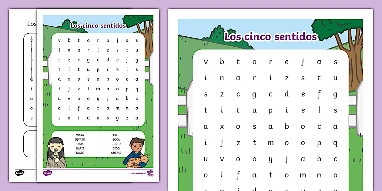 Sopa de letras de los cinco sentidos | Twinkl - Twinkl