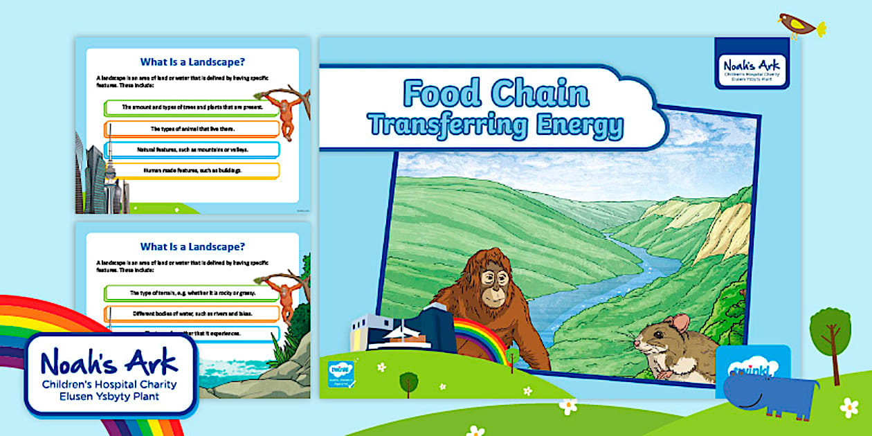 FREE! - Food Chain Transferring Energy Powerpoint - Twinkl