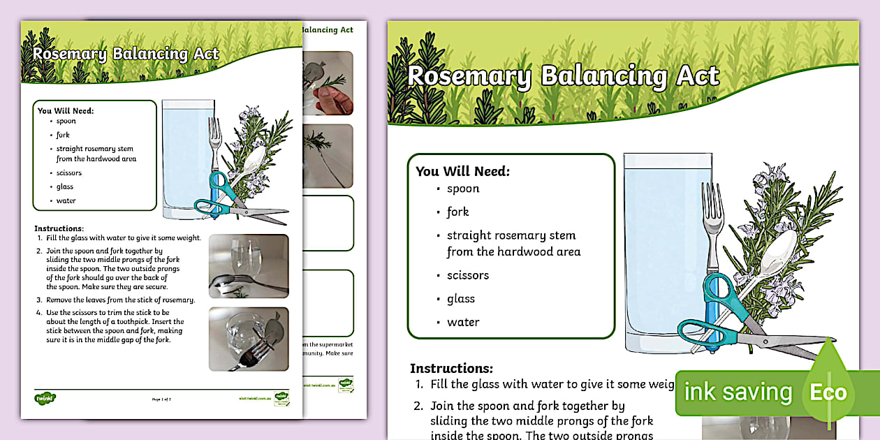 Rosemary Balancing Experiment (Teacher-Made) - Twinkl