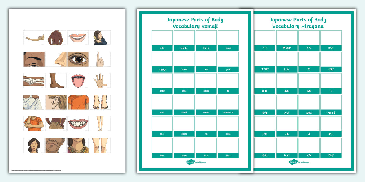 Japanese Parts of Body Vocabulary Matching Mat