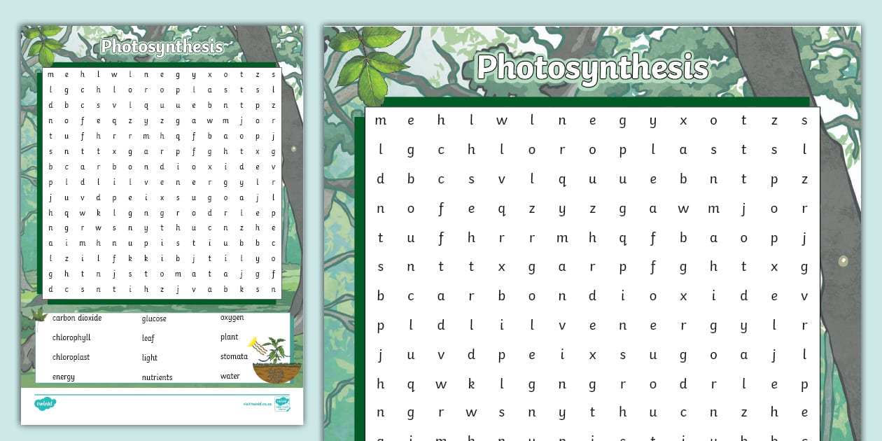 Photosynthesis Word Search - Twinkl Science (teacher made)