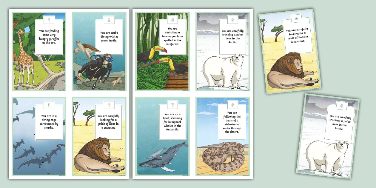 Animals Freeze Frame Drama Flashcards (Lehrer gemacht)