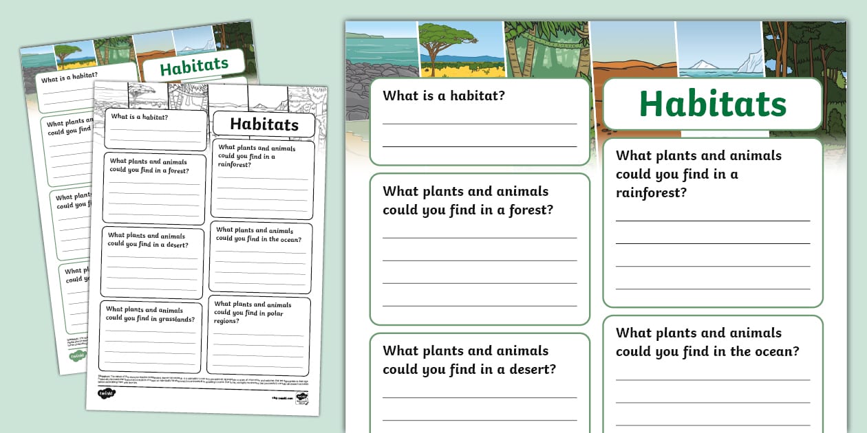 KS1 Habitats Fact File Template (l'enseignant a fait)