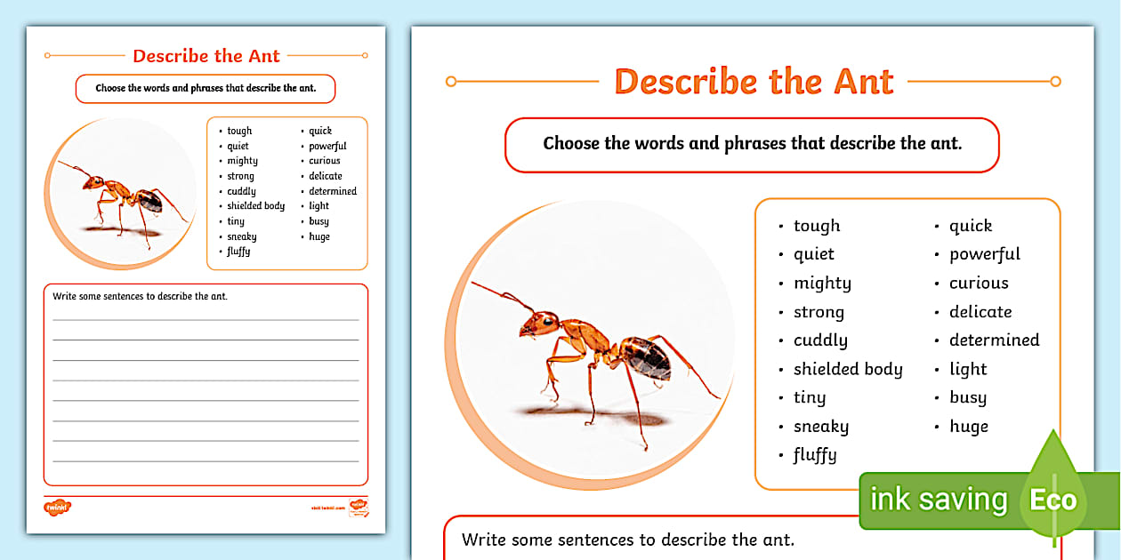 Describe the Ant Writing Activity,ants - Twinkl