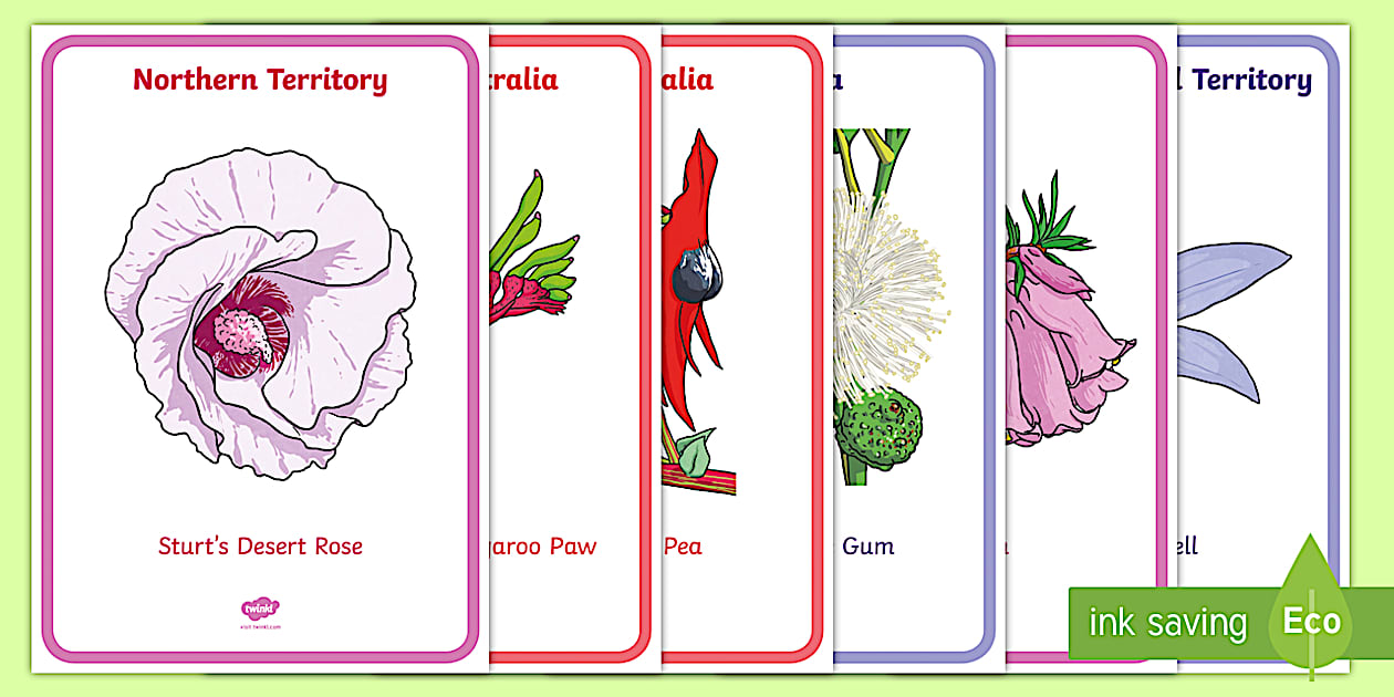 QLD State Floral Emblems Display Pack (teacher made)