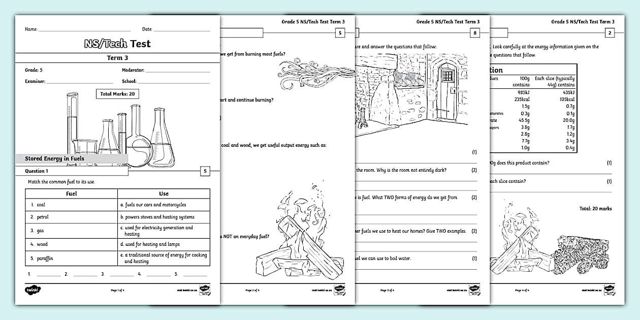 Natural Science Test: Grade 5 - Term 3 (Teacher-Made)