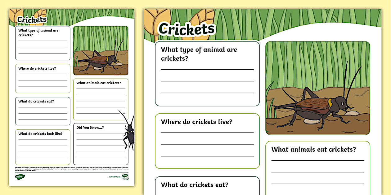 Crickets Fact File Template - Twinkl Templates - Twinkl