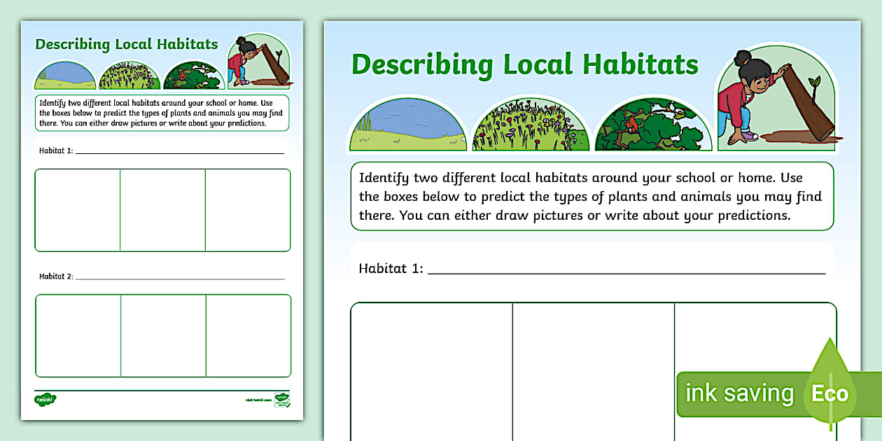 KS1 Describing Local Habitats Activity Sheet (teacher made)