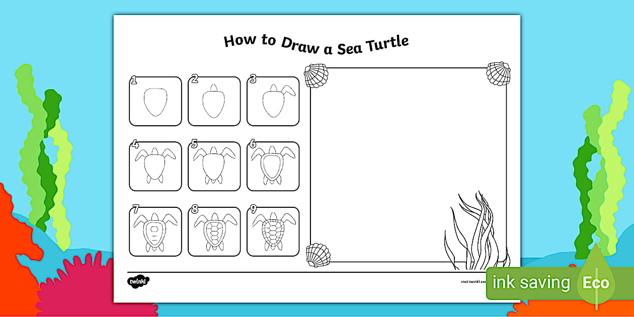 Cursive How to Draw a Sea Turtle Worksheet (teacher made)