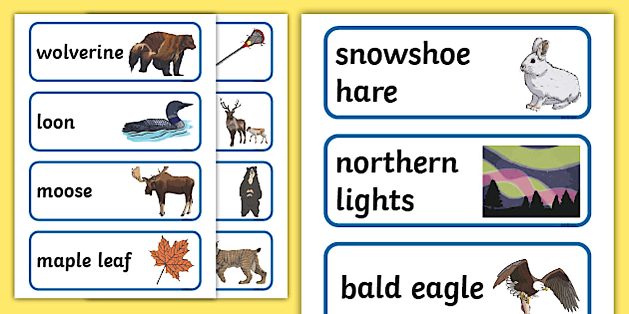 Canada Day Word Cards - Twinkl English Language Arts