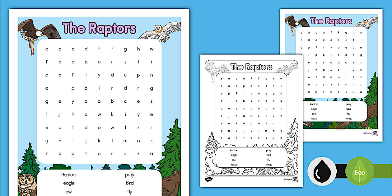 The Raptors Word Search (teacher made) - Twinkl